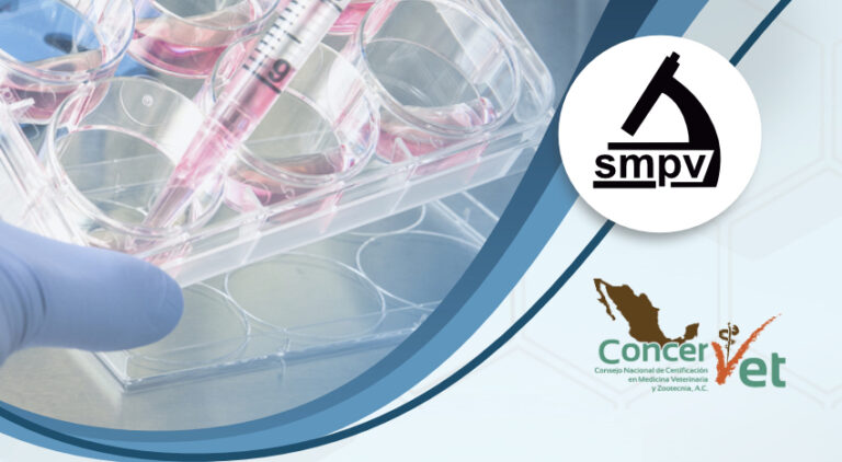 CERTIFICACIÓN EN PATOLOGÍA CONCERVET | TODO LO QUE QUIERES SABER – SMPV